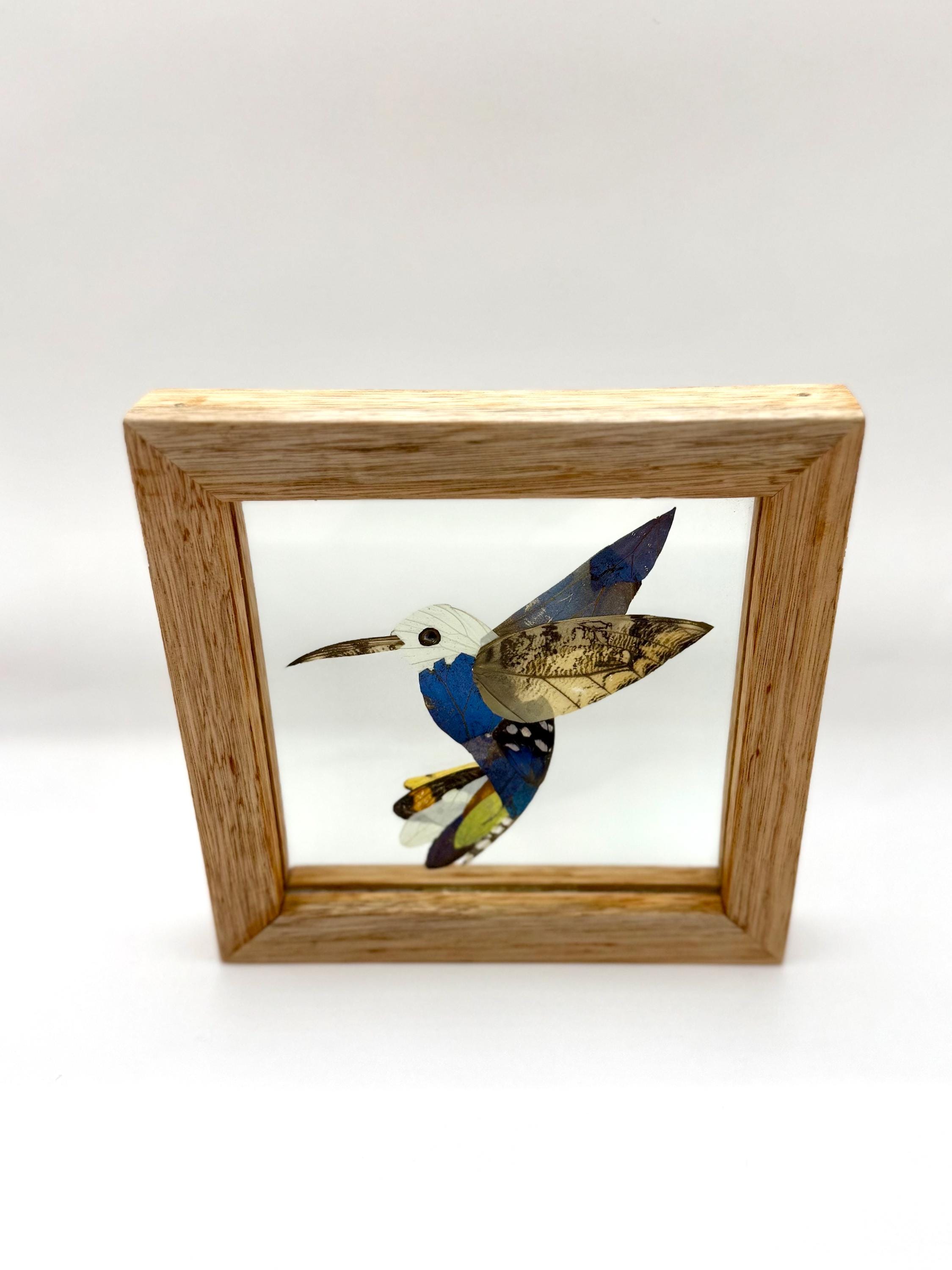 Framed Butterfly Wing Art: Handmade Belizean Craft - Etsy