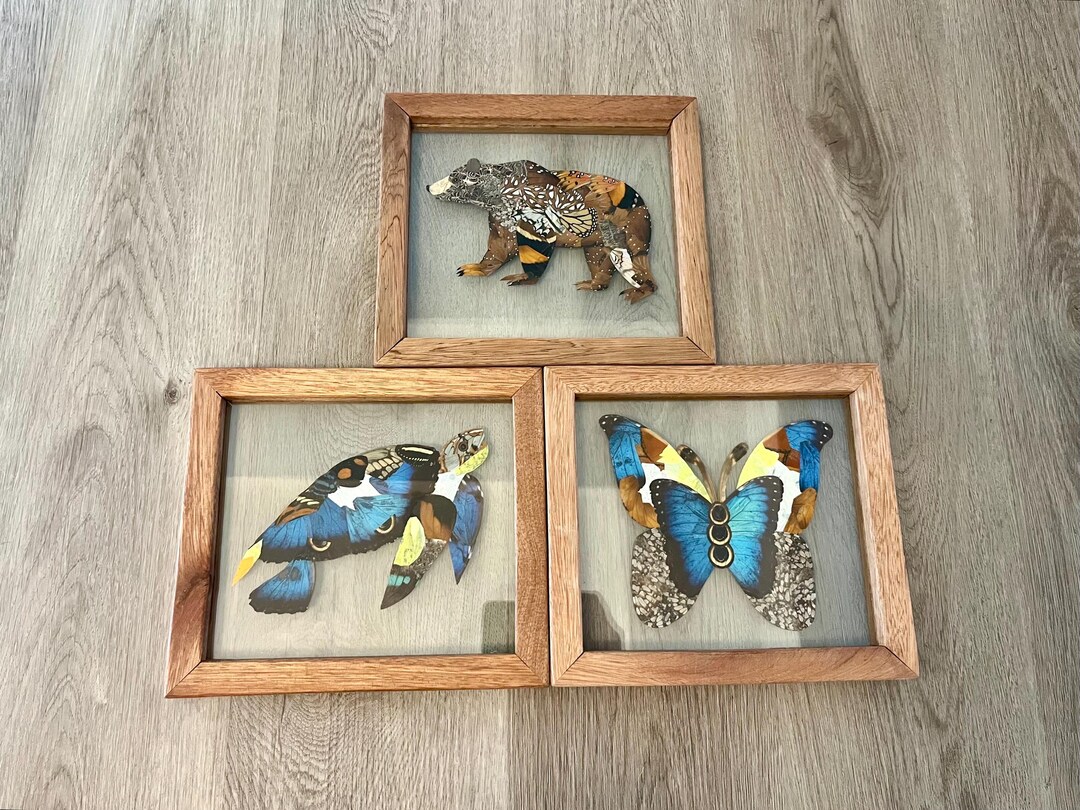 Framed Butterfly Wing Art Handmade, Handcrafted Frame, Well Preserved ...