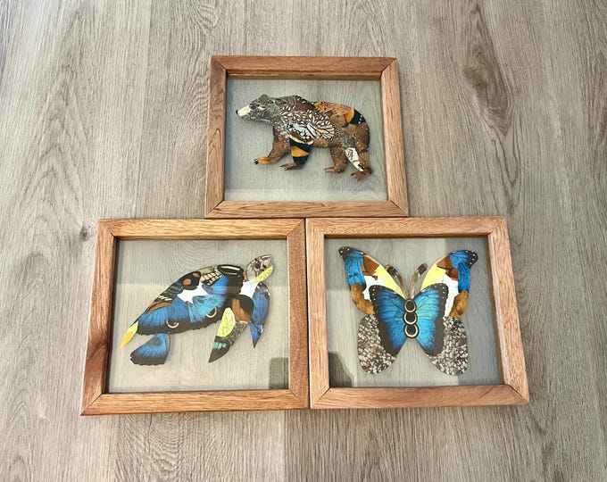 Framed Butterfly Wing Art Handmade, Handcrafted Frame, Well Preserved ...