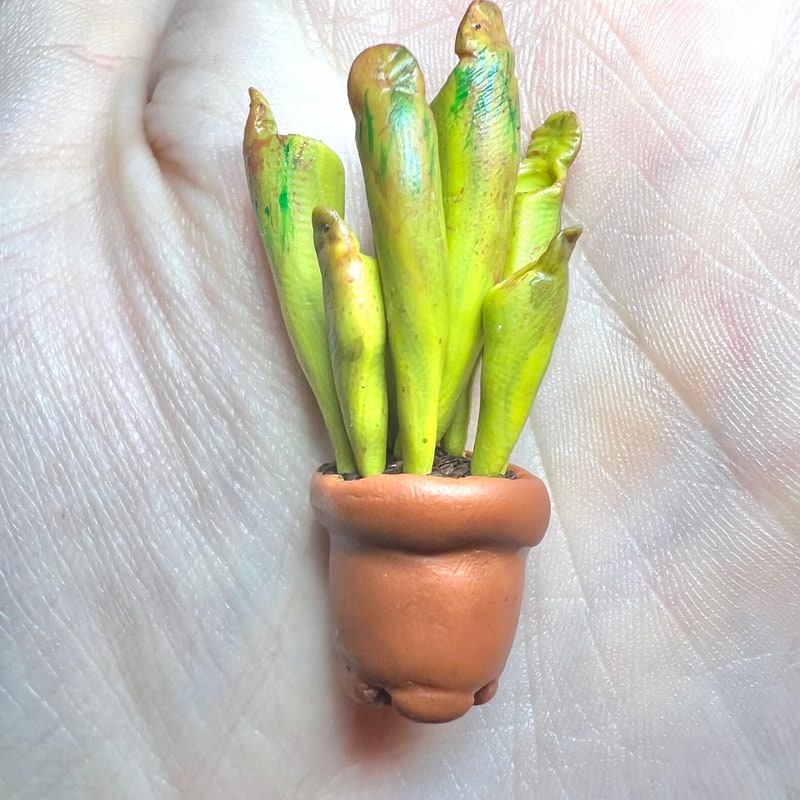Miniature Pitcher - Etsy UK