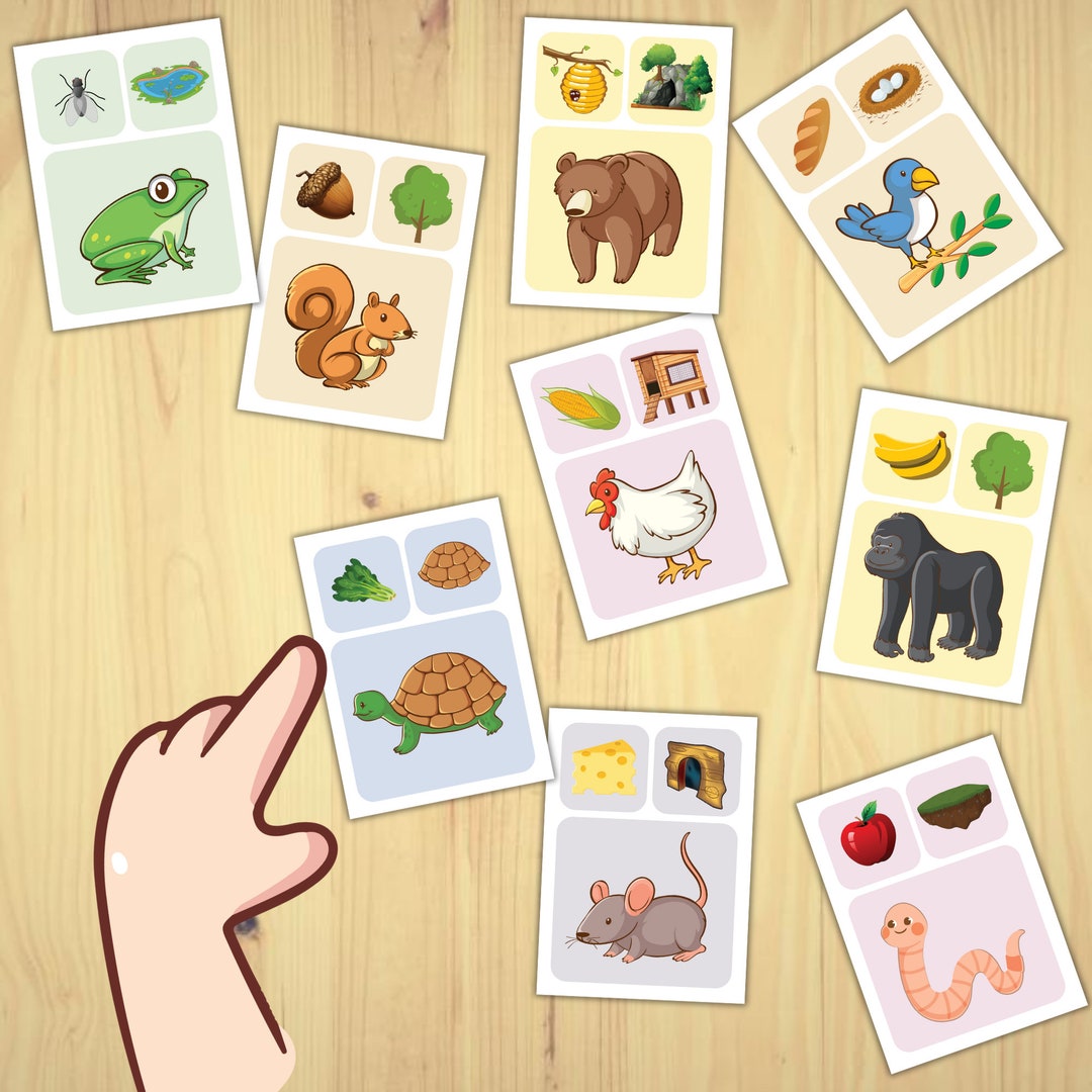 20 Animal Food Houses | Animal Flashcards | Montessori Flash Cards ...