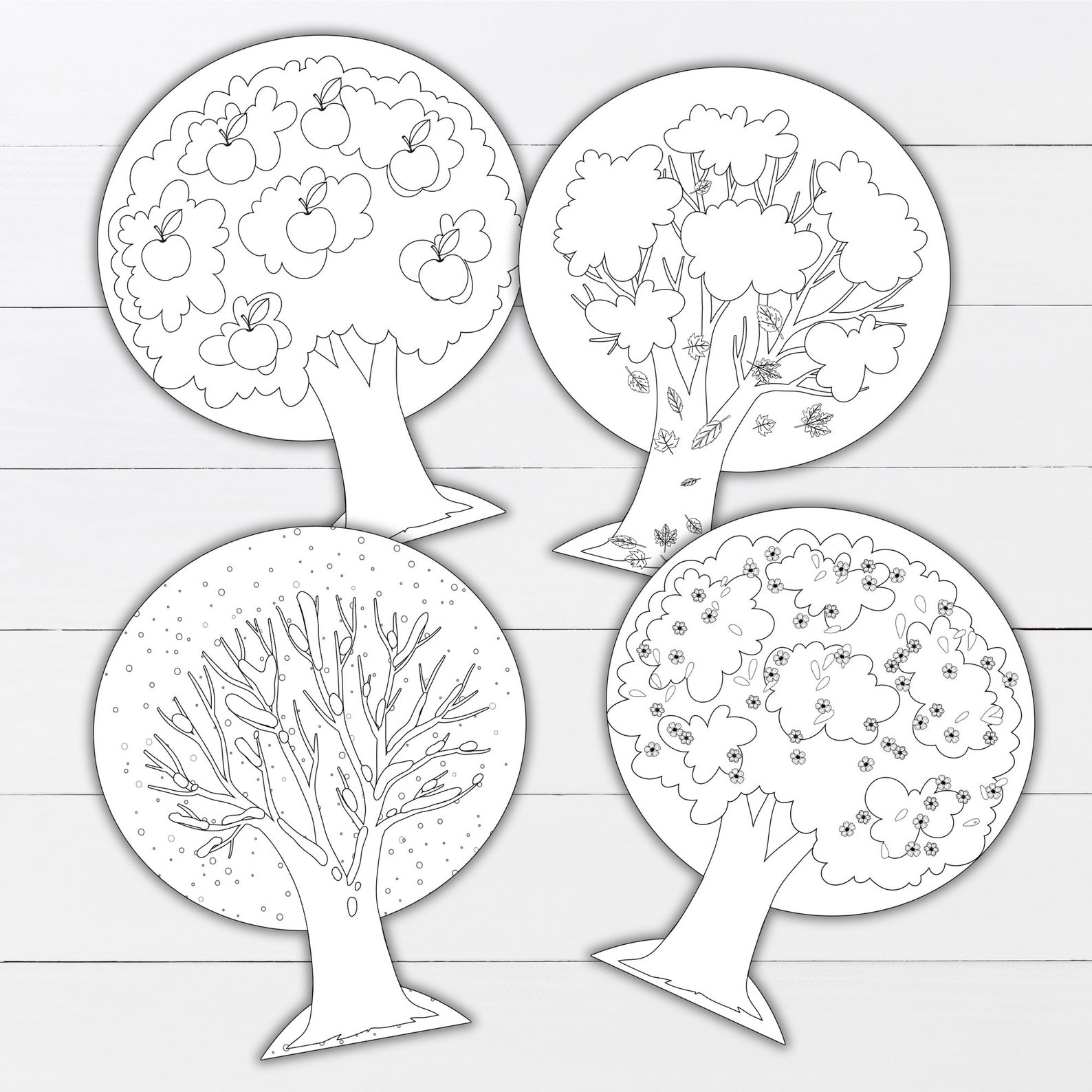 Seasons Coloring Tree | Printable Seasons Activity | the Four Seasons ...