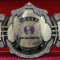 Wwe Wrestling - Etsy