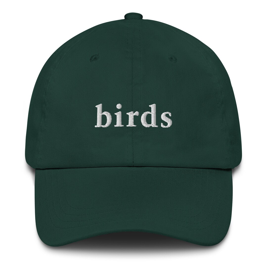Birds - Embroidered Dad Hat - Minimalist Hiking Outdoorsman Hat for ...