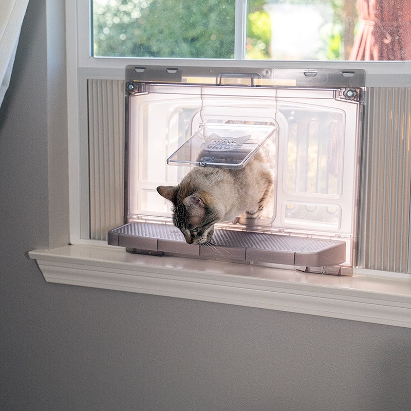 Cat Window Box - Etsy