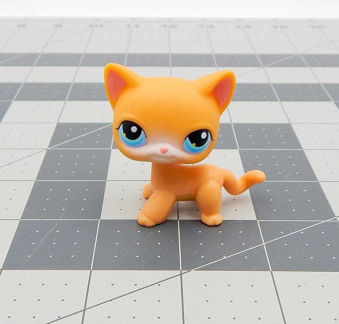 Littlest Pet Shop LPS 71 Short Hair Orange Kitty Cat 2004 Hasbro Pink ...