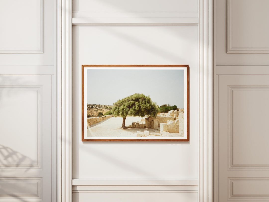 Peter Mclay - "the Olive Tree" - Unframed Limited Edition Film ...