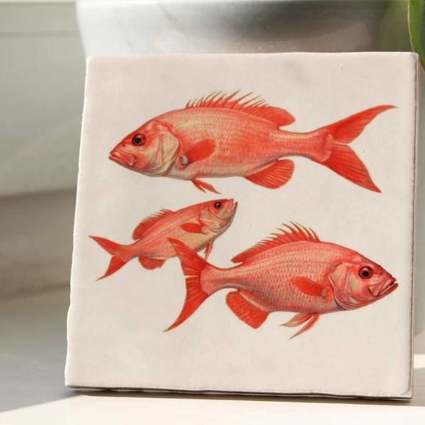Tile Fish - Etsy