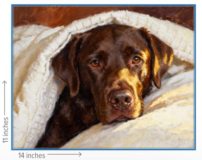 Chocolate Labrador Art Print — Oil Pastel Painting of a Lab Resting in ...