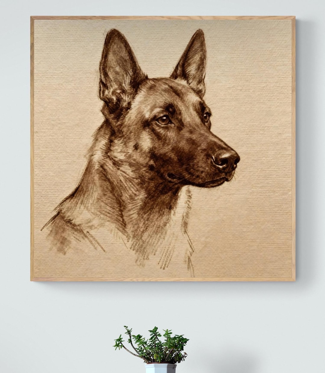 Belgian Malinois Drawing Art Print – Charcoal Portrait, Framed or ...
