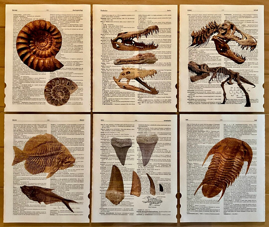 Fossil Dinosaur Dictionary Art Prints, Vintage Paleontology Theme ...