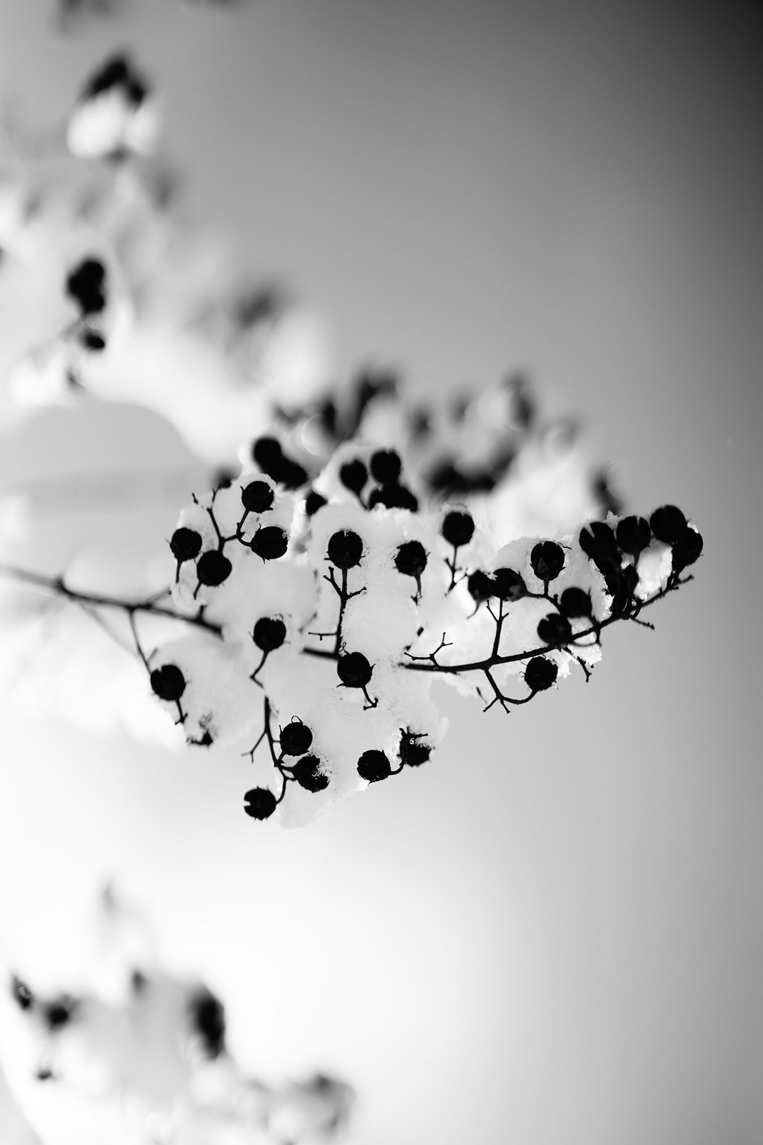 Frame TV Screen, Nature Screensaver for Download , High Resolution ...