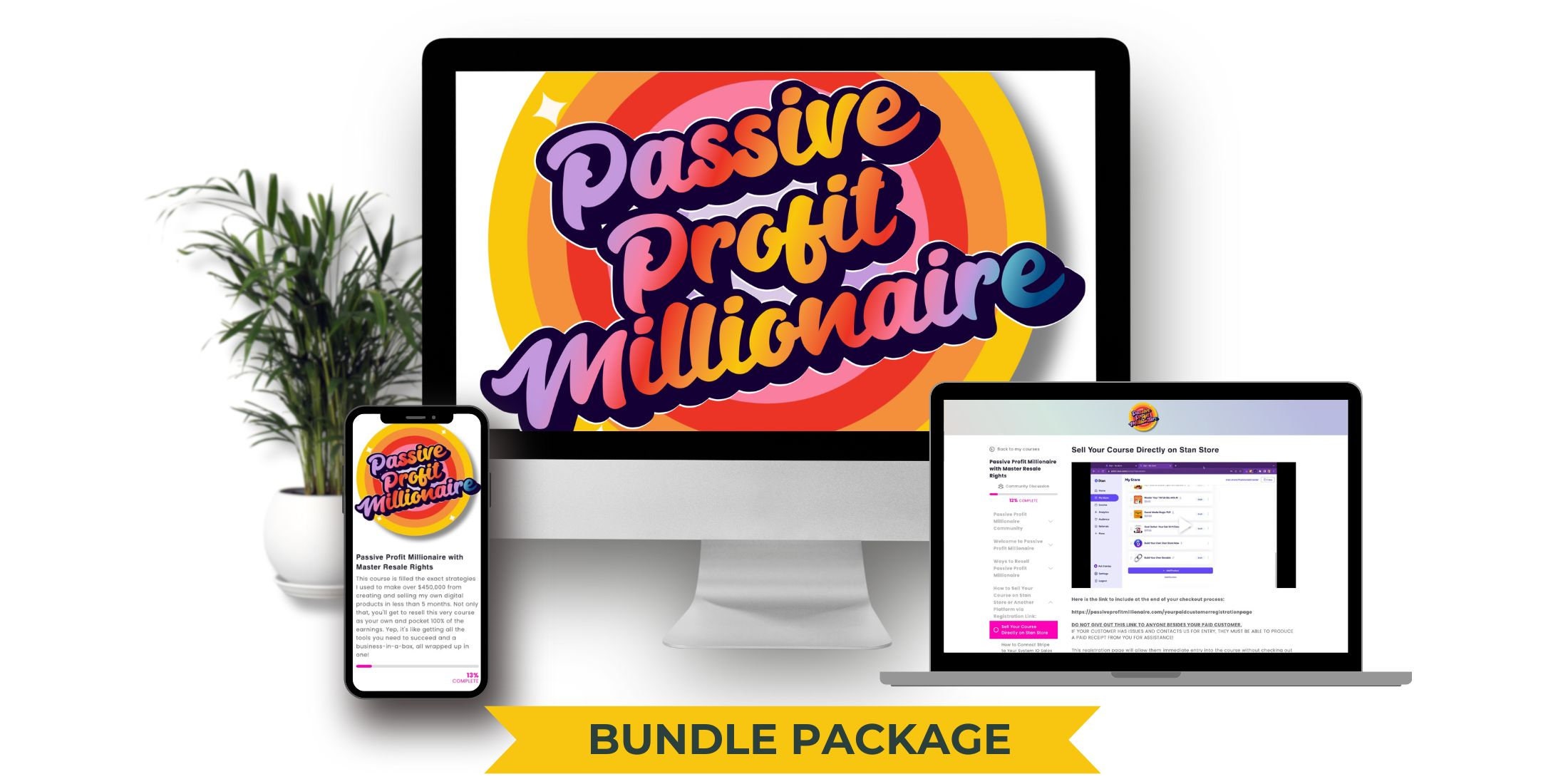 Passive Profit Millionaire Roadmap 2.0 MRR Course BUNDLE Library of 10 DFY Products and ...