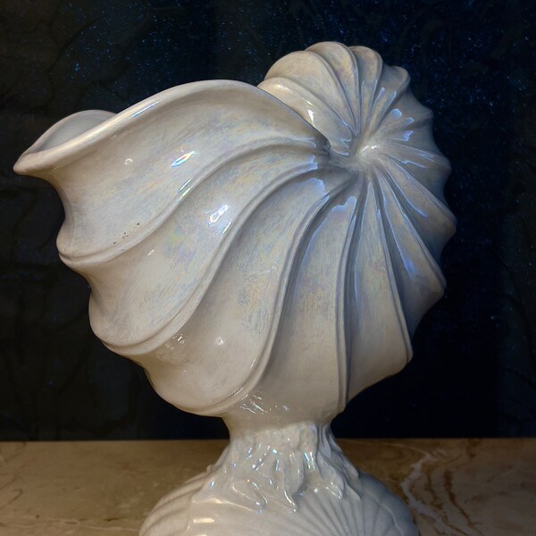 Conch Shell Planter - Etsy