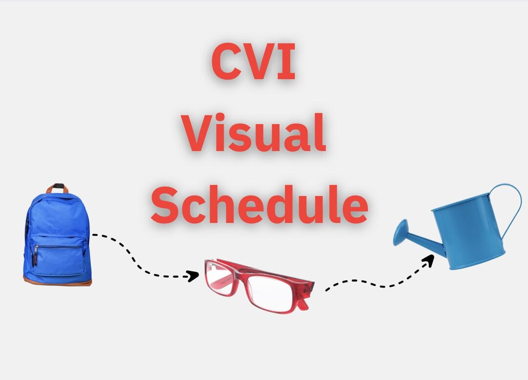 CVI Visual Schedule (31 Activities, Editable) *CANVA TEMPLATE* - Etsy