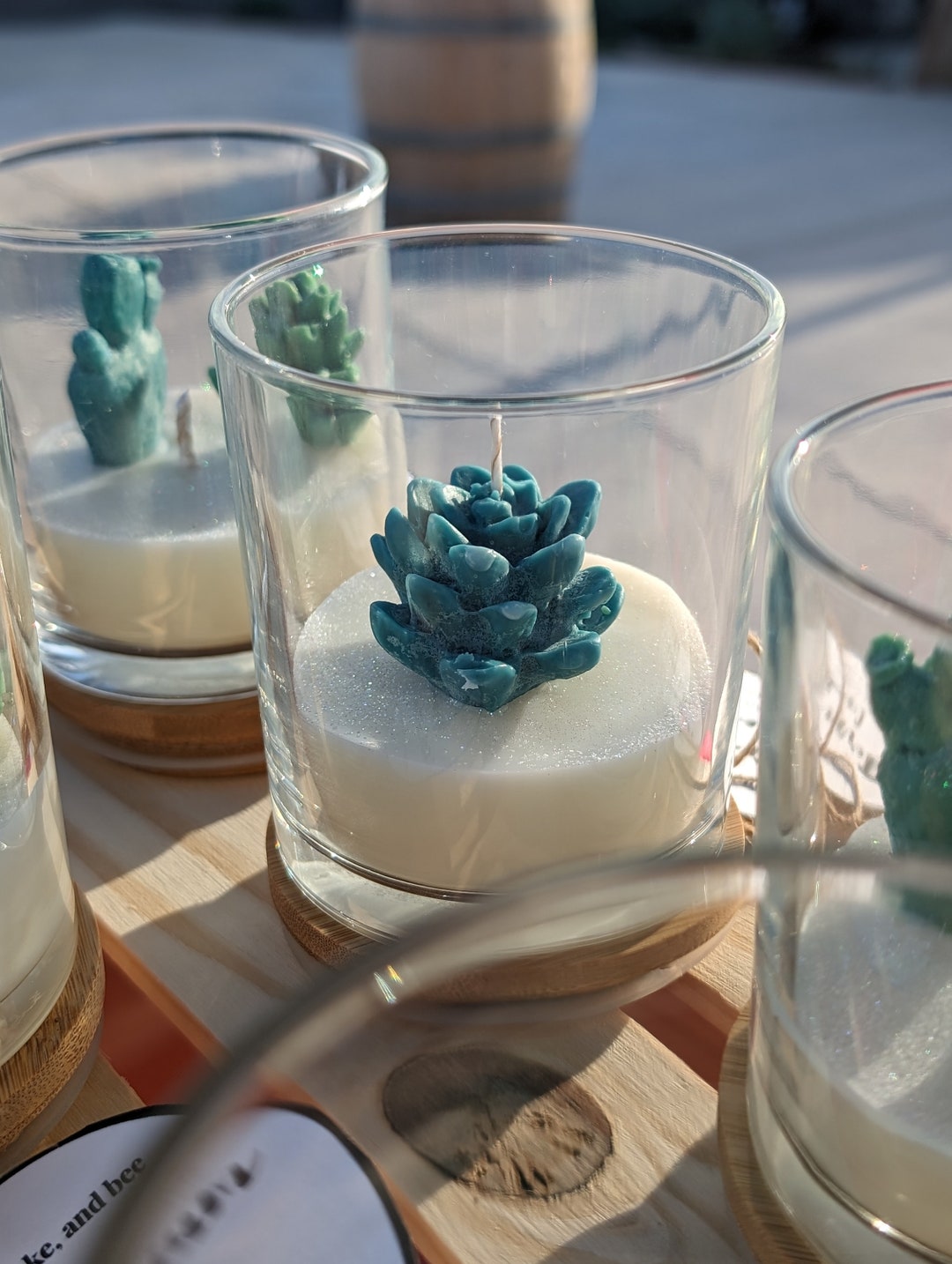 Succulent Terrarium Candle - Etsy