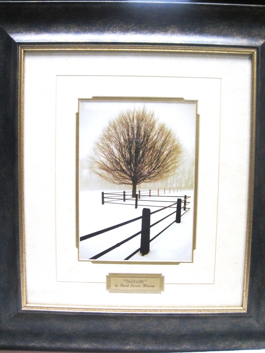 A Stunning Artwork by David Lorenz Winston Called "solitude". - Etsy