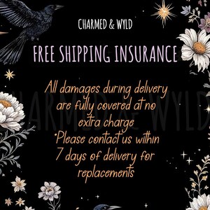 Funny Cowboy Frog Passport Holder, Gen Z Faux Leather Passport Cover ...