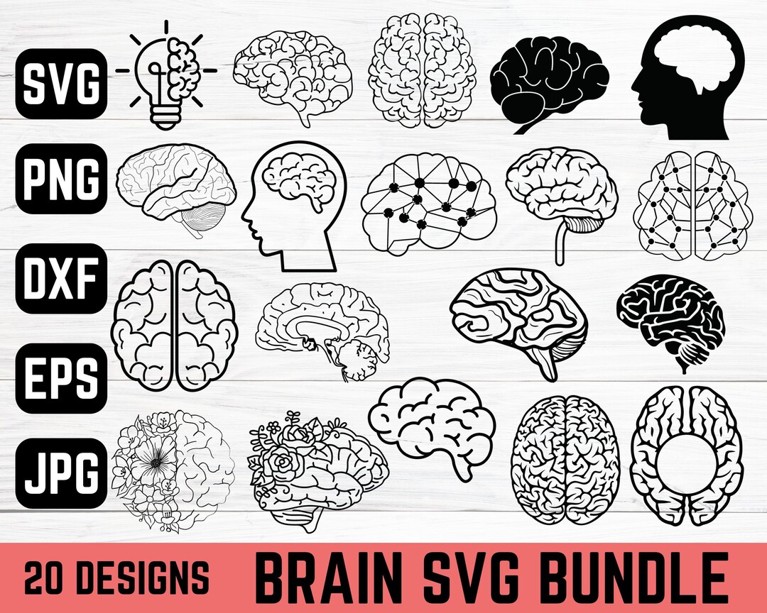 Brain Svg | Human Brain Svg | Brain Png | Clip Art | Brain Vector ...