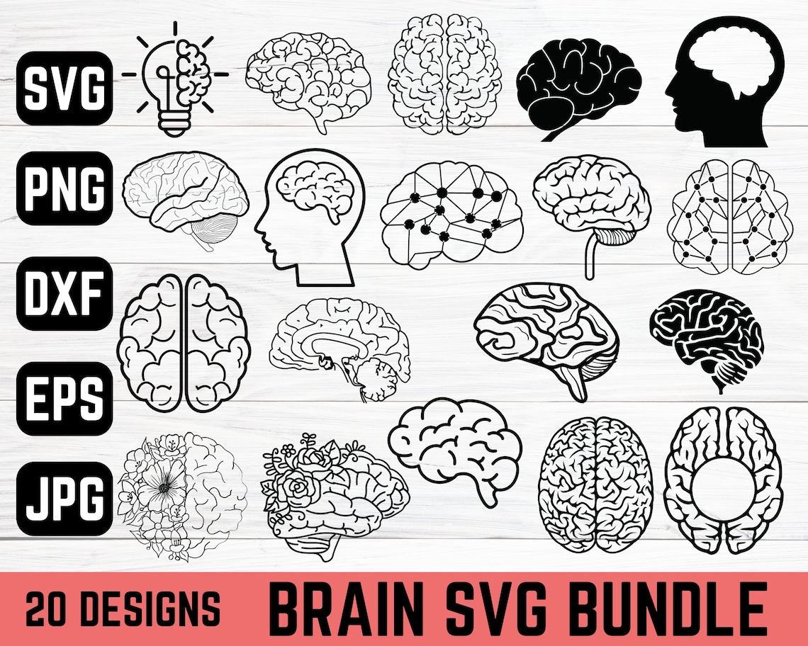 Brain Svg Human Brain Svg Brain Png Clip Art Brain - Etsy