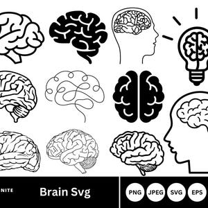 Brain Svg Bundle, Brain Svg, Brain Clipart, Brain Png, Brain Vector ...