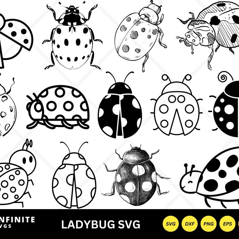Ladybug Svg - Etsy