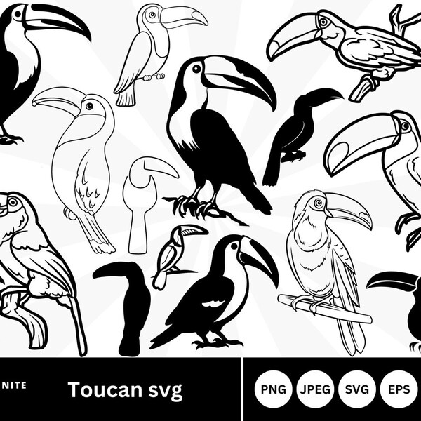 Toucan Svg - Etsy