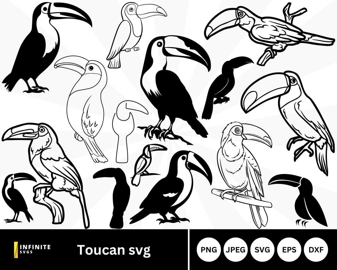 Toucan Svg Bundle, Toucan Bird Svg, Birds Svg, Toucan Cut File, Toucan ...