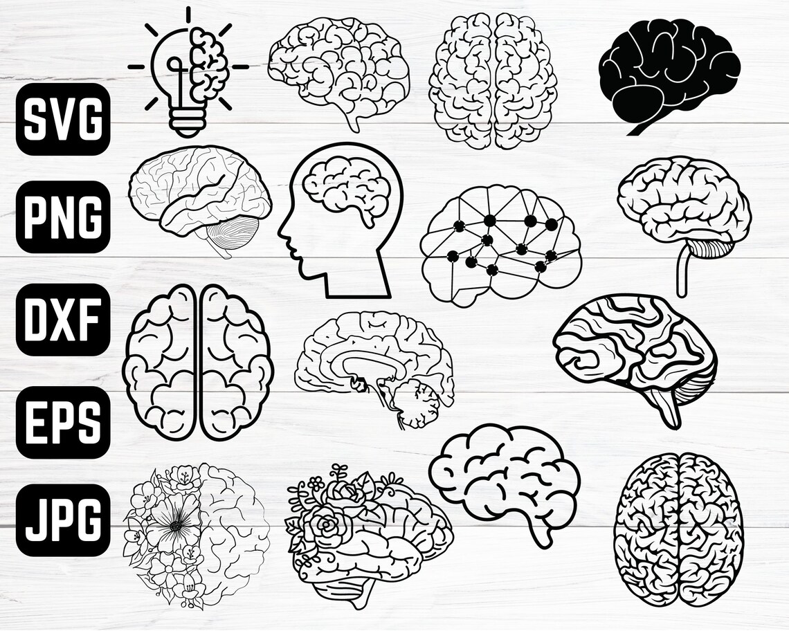 Brain Svg Human Brain Svg Brain Png Clip Art Brain Vector Mental Health ...