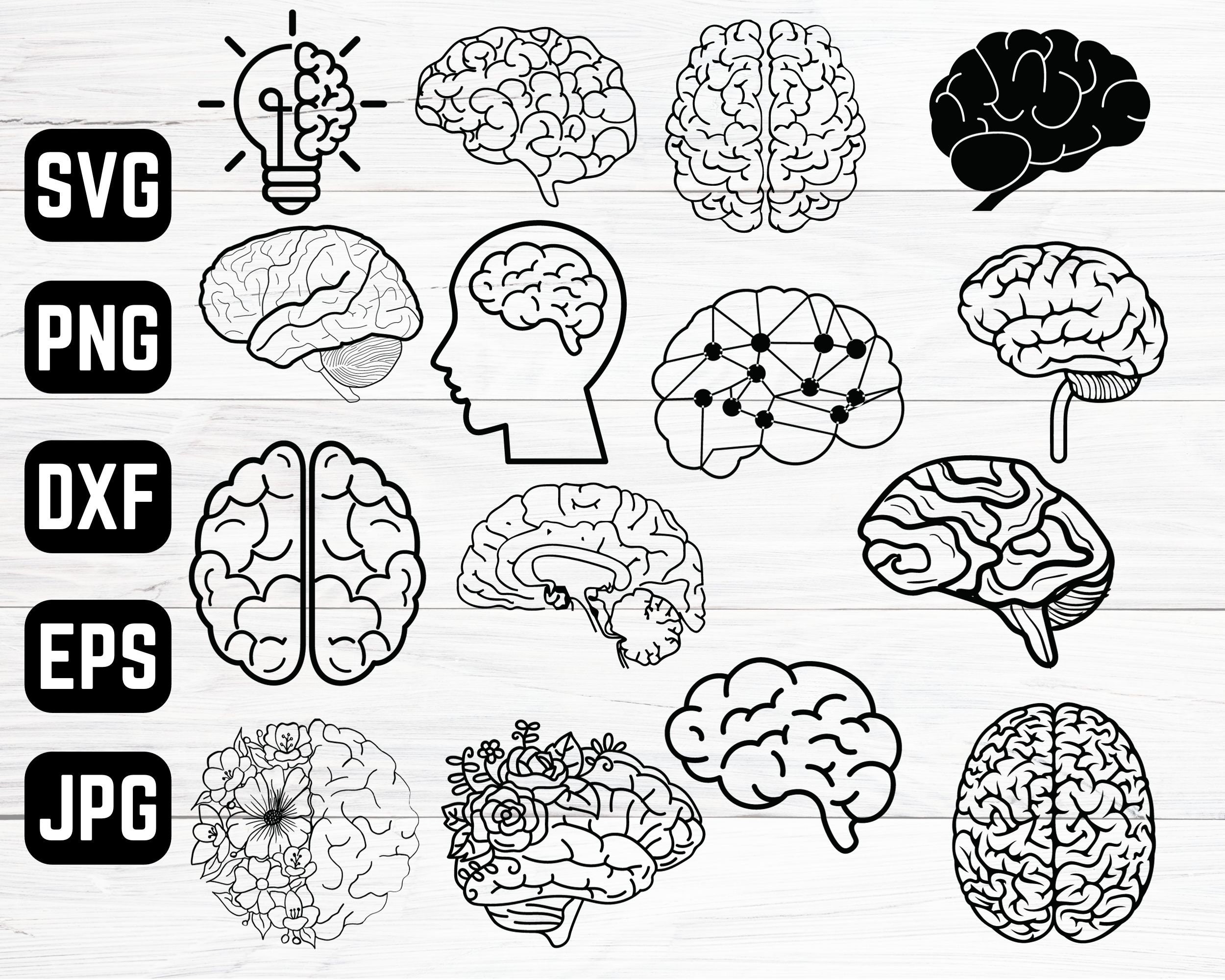 Brain Svg Human Brain Svg Brain Png Clip Art Brain - Etsy