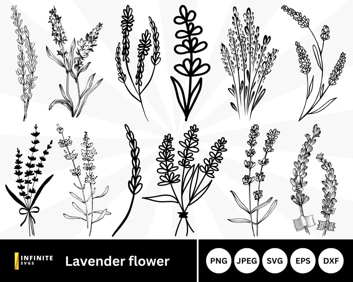 Lavender Flowers Svg, Flowers Svg, Lavender Svg, Lavender Clipart ...