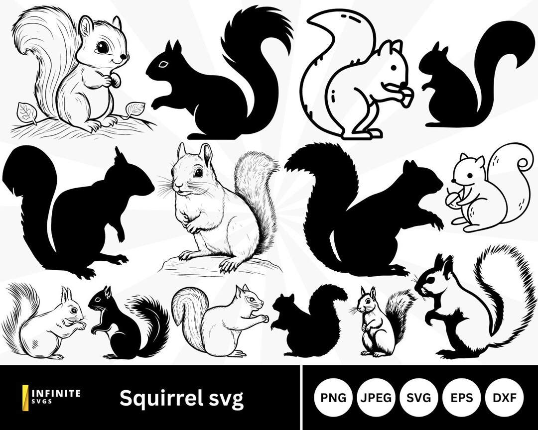 Squirrel Svg Bundle, Squirrel Svg, Squirrel Shirt Svg, Squirrel Clipart ...