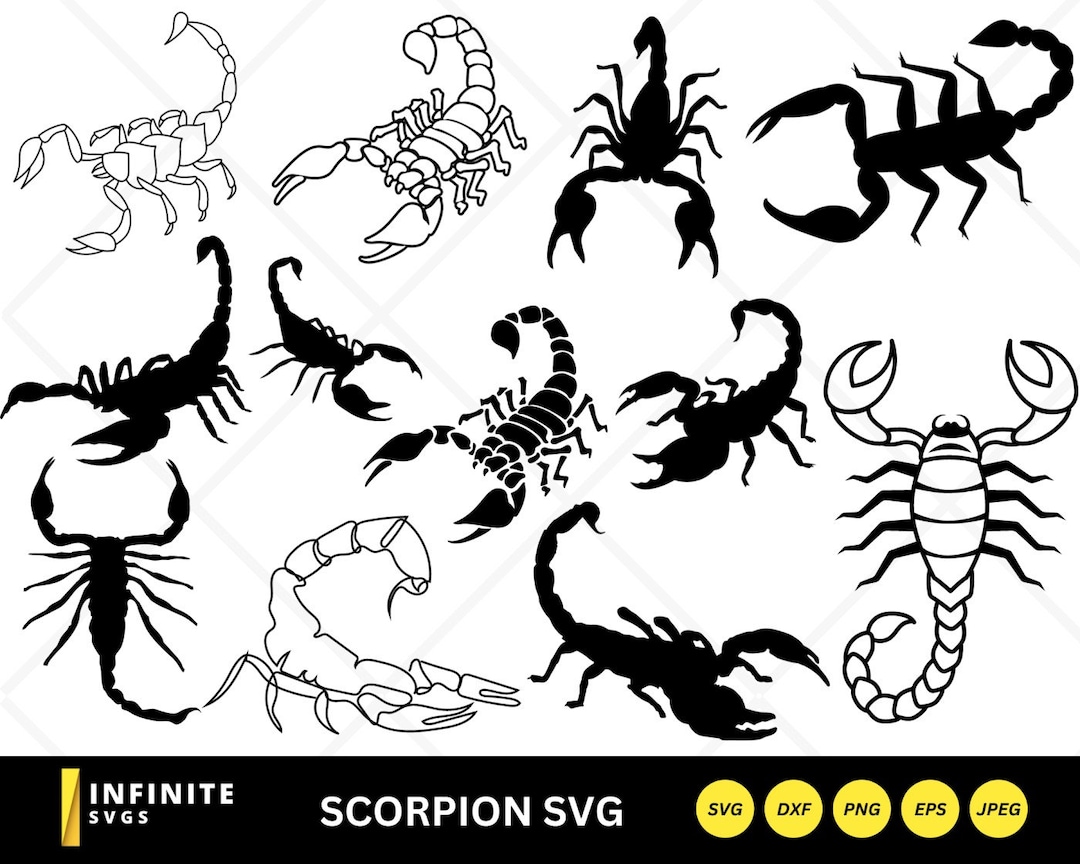 Scorpion Svg, Scorpion Silhouette, Animal Svg, Scorpion Clipart ...