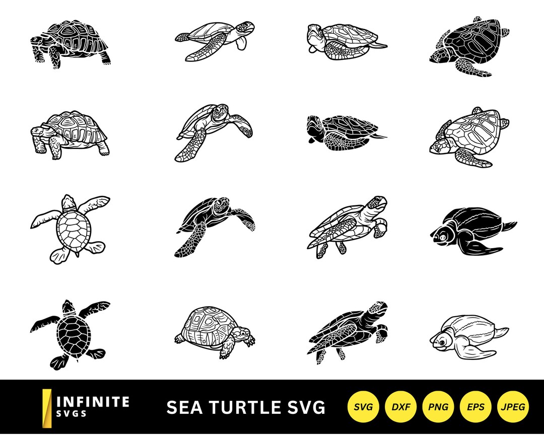 Sea Turtle Svg - 16 Design - Sea Turtle Svg Layered - Sea Turtle Vector ...