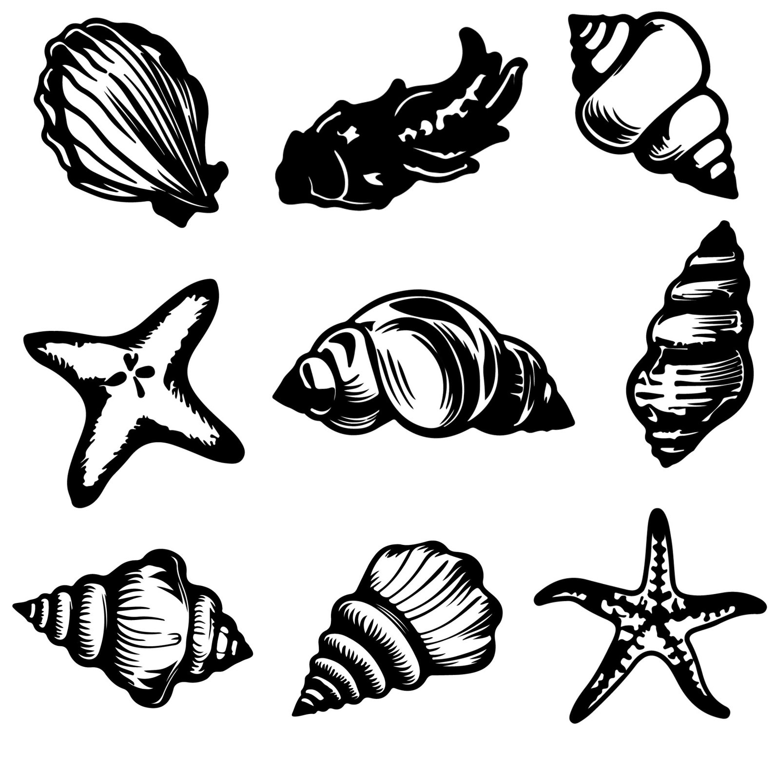 Scallop Clip Art, Shell Svg, Sea Life Svg, Ocean Life Svg, Mugs Cups ...