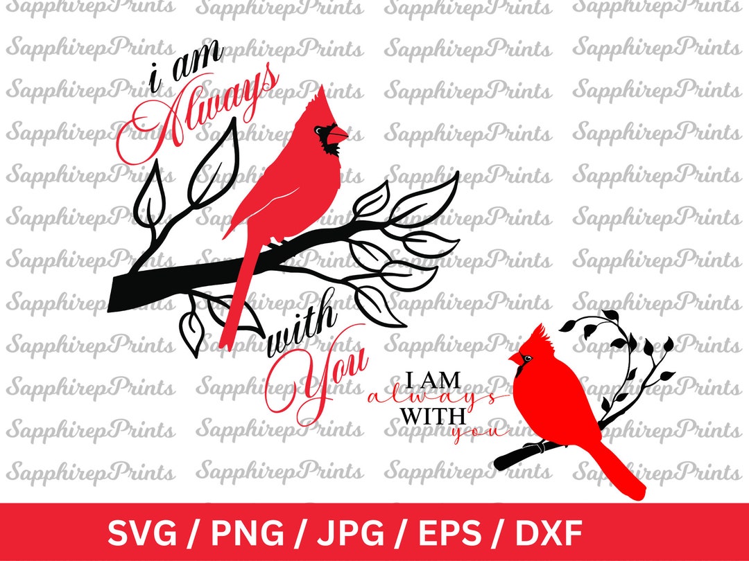 Cardinal Memorial SVG and PNG Bundle, Sympathy and Remembrance Designs ...