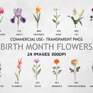 Birth Month Flower Clipart Bundle, Family Birth Month Flower ...