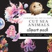 Watercolor Little Sea Animals Collection Clipart, 53 PNG Mermaid ...