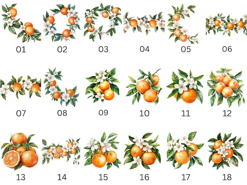 Little Cutie Clipart, Watercolor Orange With Greenery, Cute Citrus Baby ...