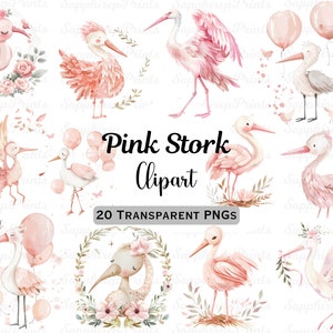 Pastel Pink Stork Clipart Bundle, 20 Transparent PNG Images, Adorable ...