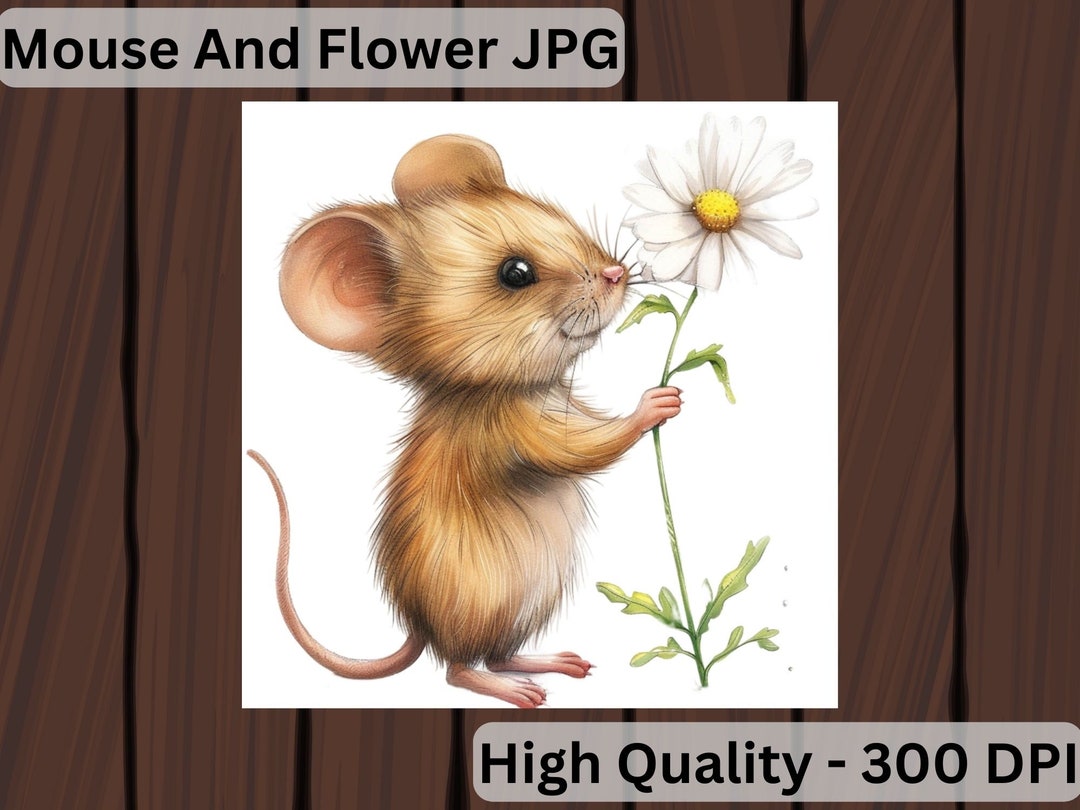 Mouse and Flower Clipart, High Quality JPG - 300 DPI, Mouse With Daisy ...