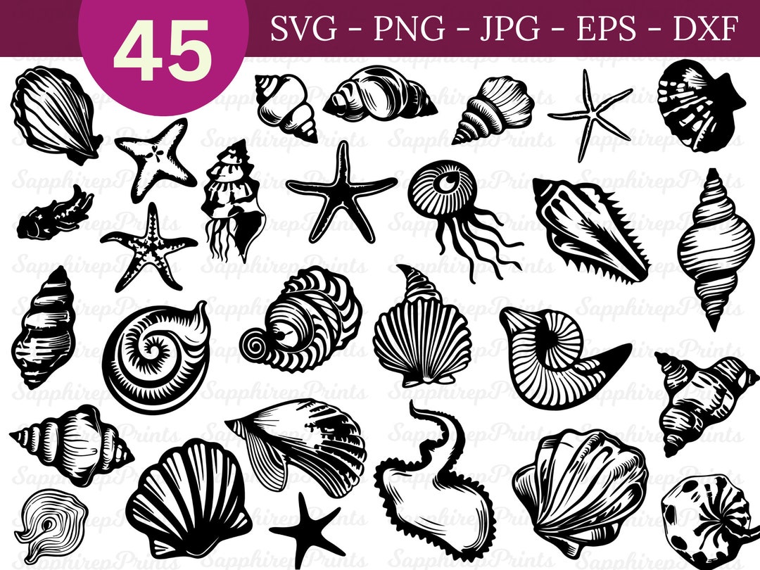 Scallop Clip Art, Shell Svg, Sea Life Svg, Ocean Life Svg, Mugs Cups ...