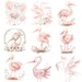 Pastel Pink Stork Clipart Bundle, 20 Transparent PNG Images, Adorable ...