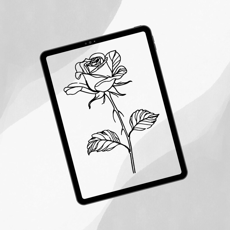 Rose Svg, Rose Svg File for June Birth Month, June Birth Flower, Birth ...