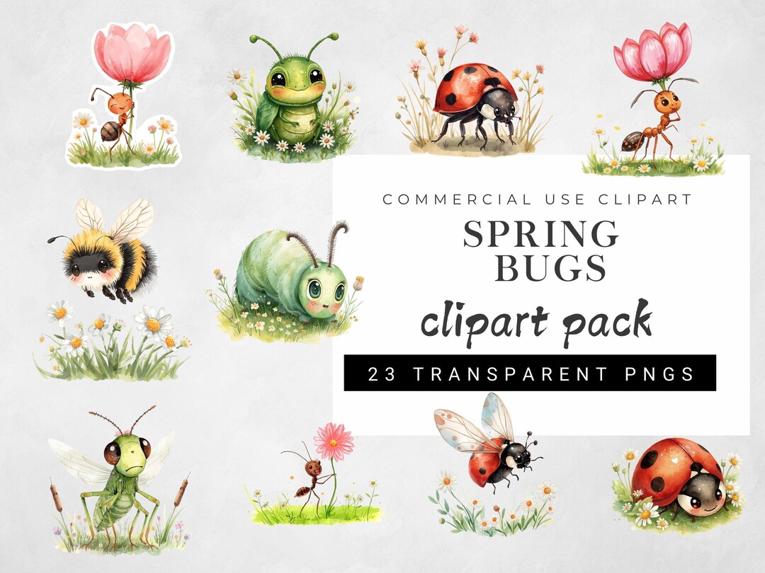 Spring Bugs Clipart Bundle | PNG Transparent | Watercolor Insects and ...