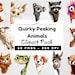 Quirky Peeking Animals Clipart Bundle, Humorous Whimsical Animal, Silly ...
