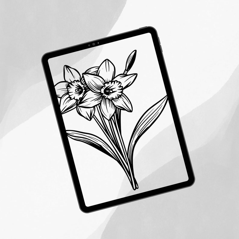 Daffodil Flower Svg, Daffodils SVG File for March Birth Month, March ...