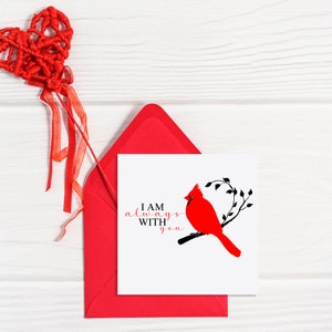 Cardinal Memorial SVG and PNG Bundle, Sympathy and Remembrance Designs ...