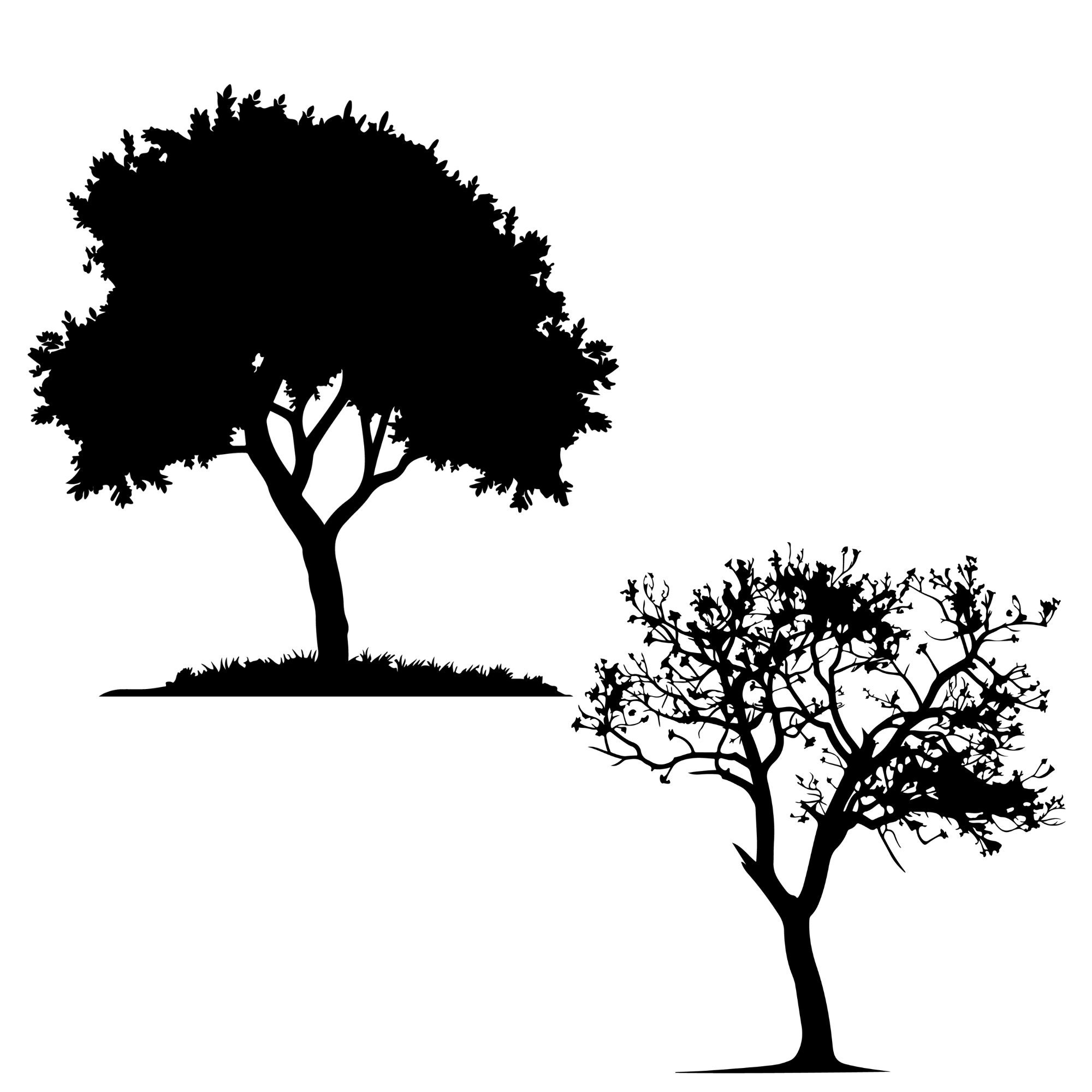 Tree Silhouette Svg Bundle, Pine Tree Svg, Palm Tree Svg, Tree Cut ...