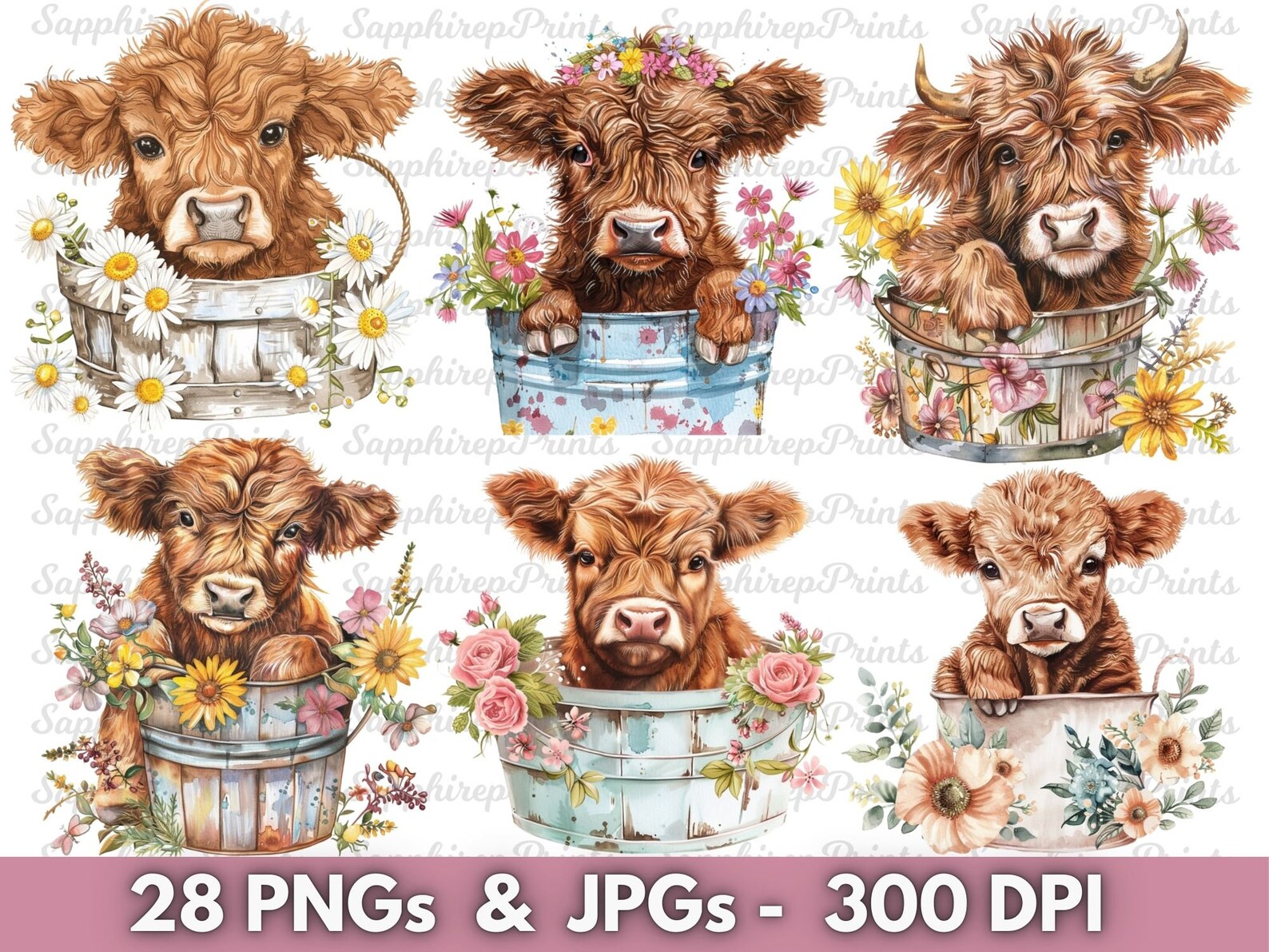 Highland Cows Clipart Bundle, 28 PNG and JPG Adorable Highland Cattles ...